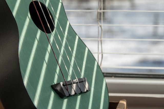 5 Fun Facts You Probably Didn't Know About The Ukulele - Studio72